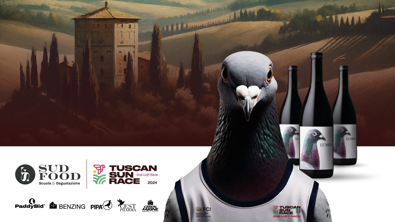 Vino e Colombi: tradizioni che volano alla Tuscan Sun Race - Scuola di ...